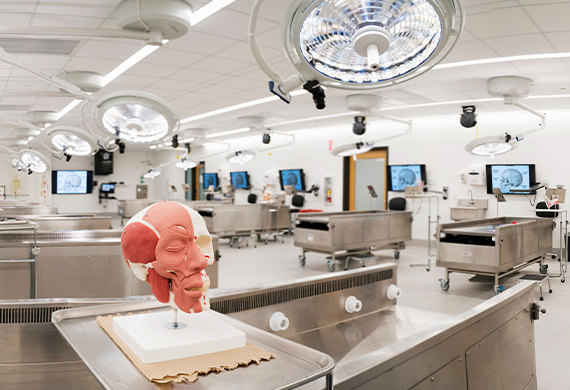 Gross Anatomy Lab Inspires the Next Generation of Healthcare Providers ...