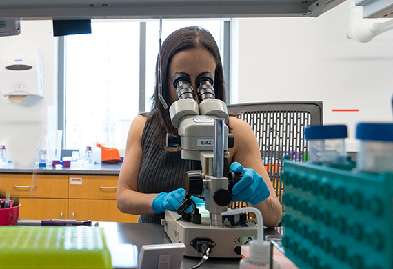 Undergraduates Embark on Scientific Research - Marist University